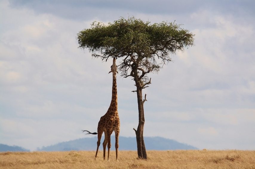 Africa’s $205B Crypto Boom Is Redefining Global Adoption