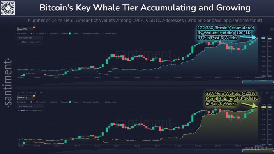 Massive Whale Accumulation: 122K Bitcoin Scooped in 6 Weeks