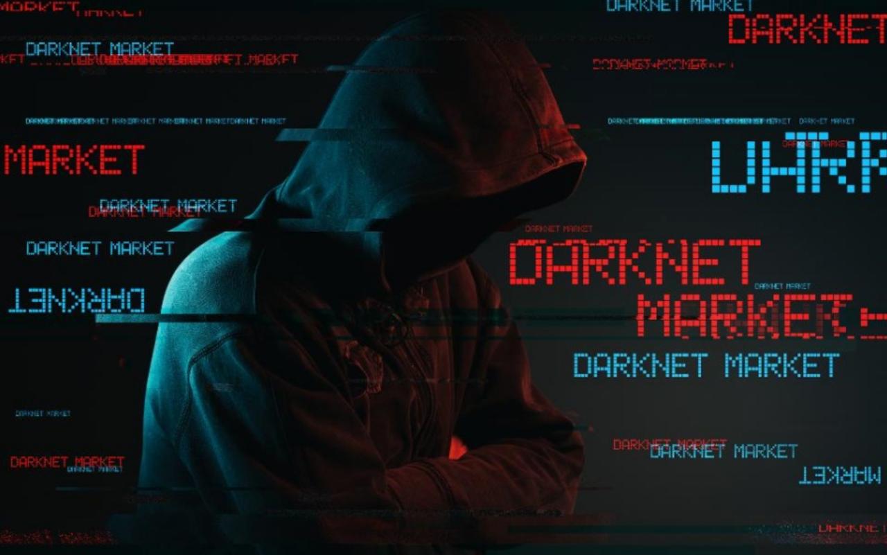 Europol and US DOJ Dismantle $267 Million Darknet Market