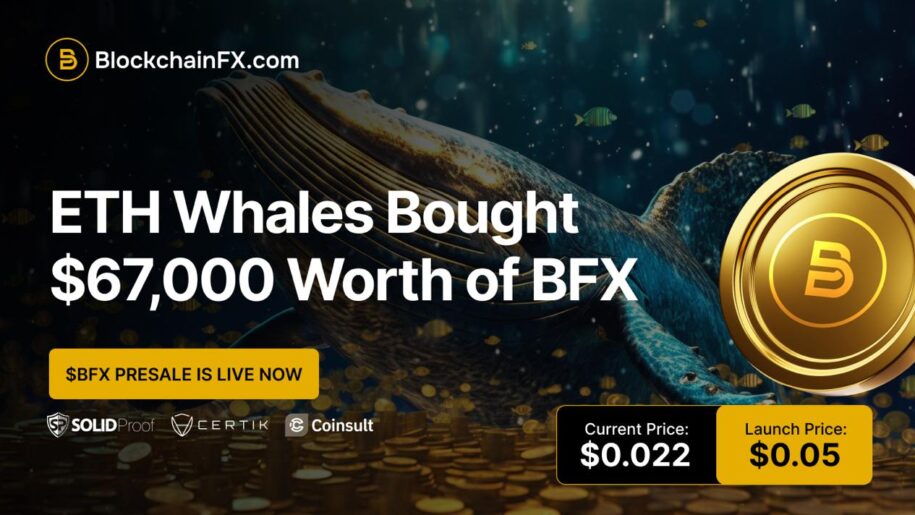 Crypto Whales Eye BlockchainFX, Nexchain, and Space Pay as Top Presales for 2025