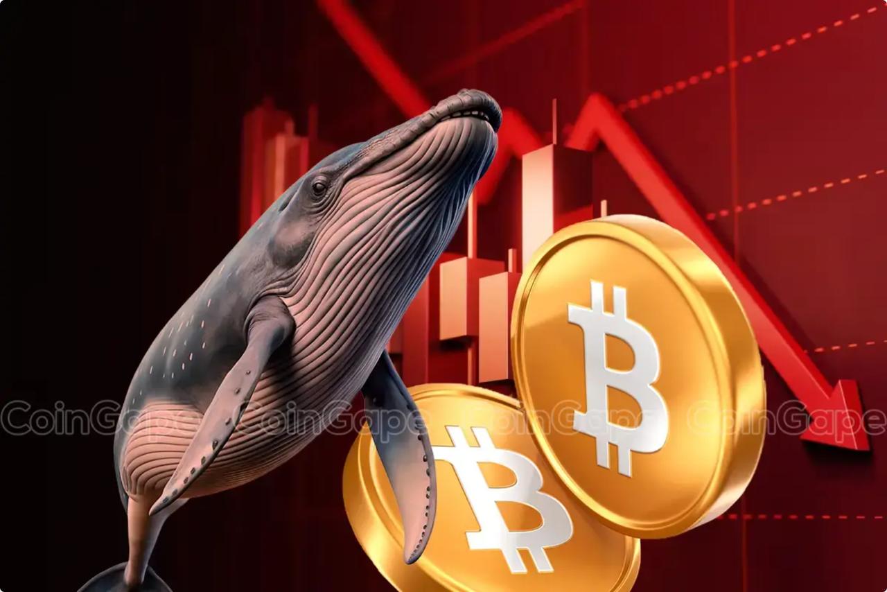 3 Reasons Whales Are Swapping $88k Bitcoin Profits for Digitap ($TAP) Today